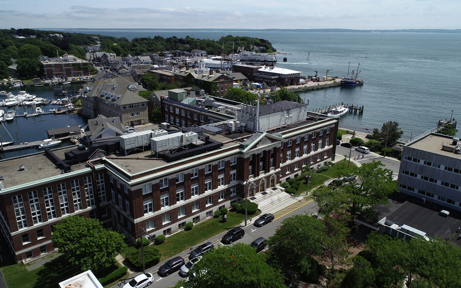 Brand Identity and Guidelines | Marine Biological Laboratory