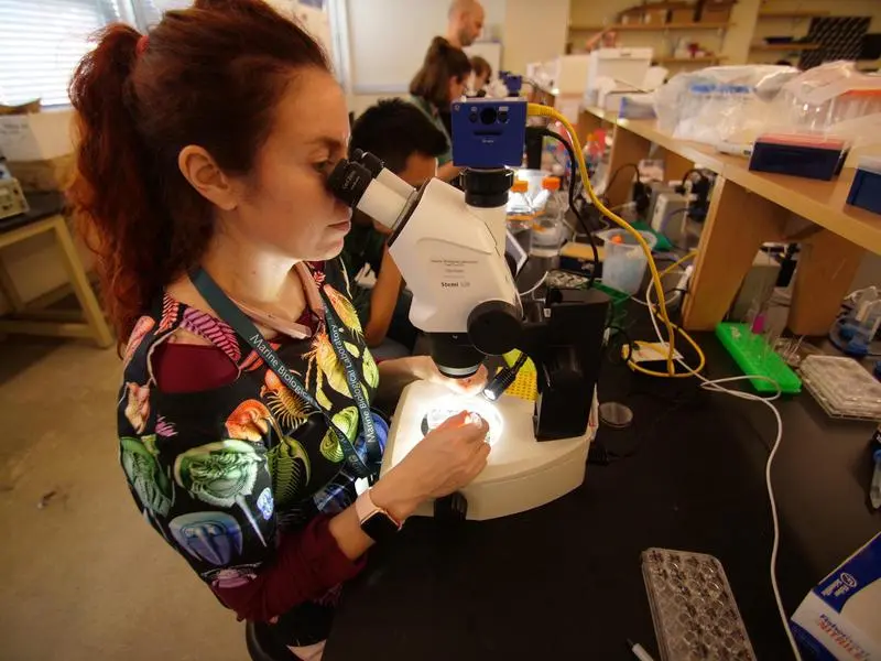 Celebrating Women in Science at the MBL | Marine Biological Laboratory