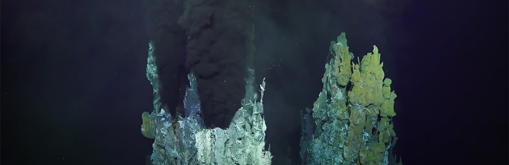 "Jaw-Dropping, Mesmerizing" Extreme Life | Schmidt Ocean Institute ...