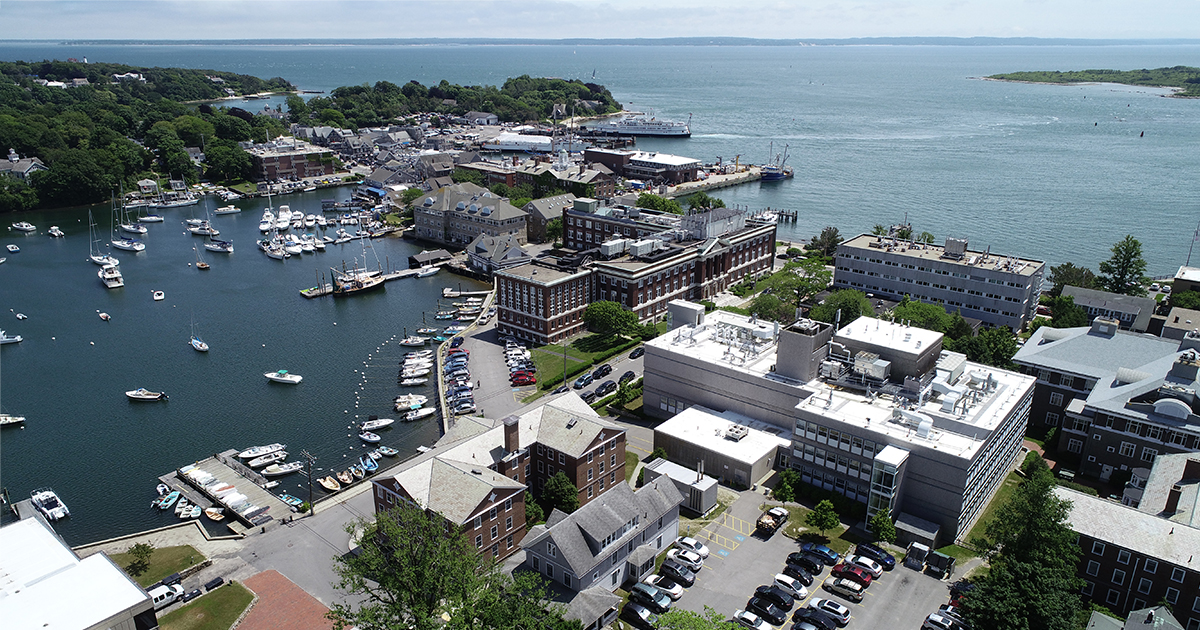 Course Offerings | Marine Biological Laboratory