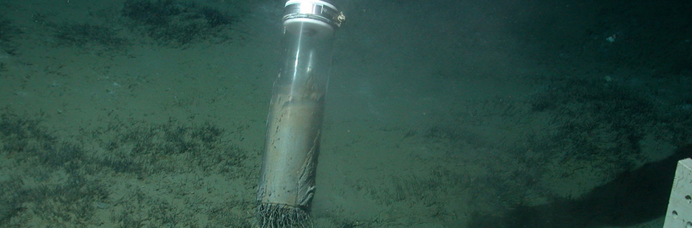 Recent Deep-Sea Research from New MBL Scientist Emil Ruff | Marine ...