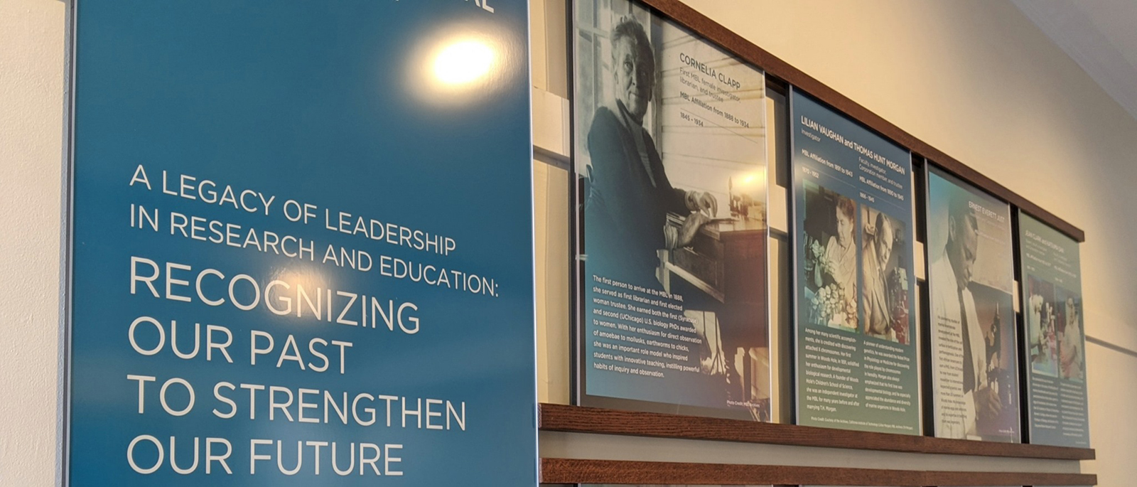 New Exhibit Highlights Legacy of Leadership at the MBL | Marine ...