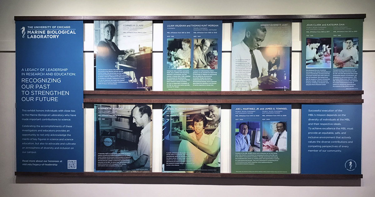 The Biology Of The Cell Surface Ernest Everett Just