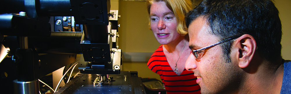 Come Back to the MBL | Marine Biological Laboratory
