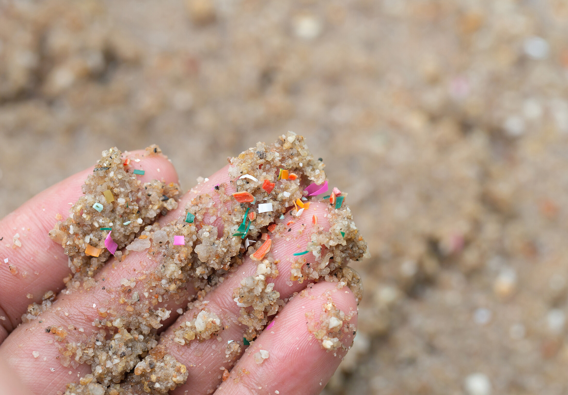 Are Microplastics Spreading Infectious Disease? | PNAS | Marine ...