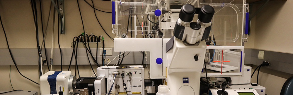 Improving Confocal Microscopes with Artificial Intelligence | AZO ...