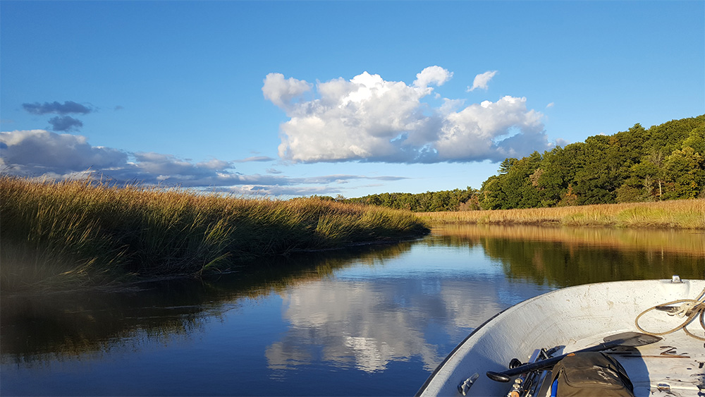Cardon Leads $8.4M Collaborative Project on Marsh Responses to Tidal ...