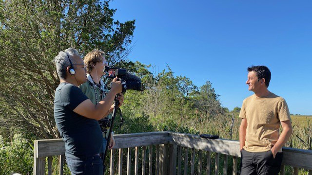 Cape Cod Faces a Rising "Yellow Tide" | Scientific American/WBUR ...
