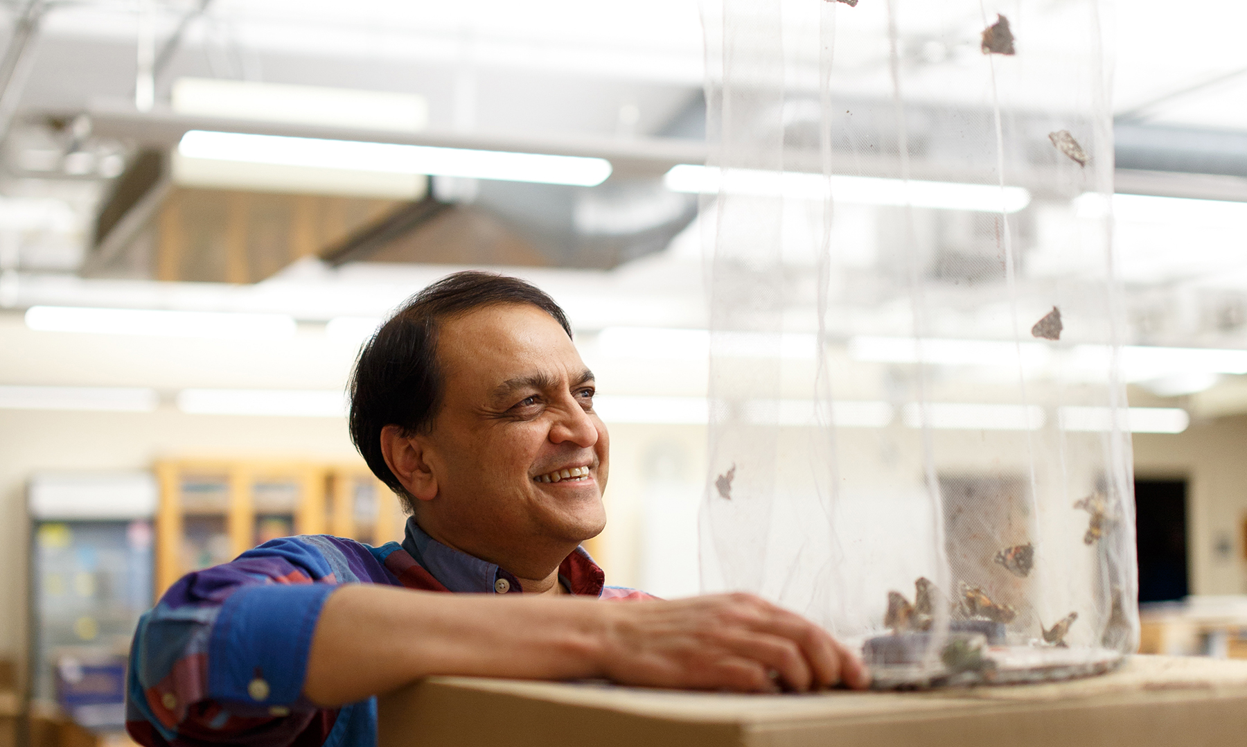 MBL Director Nipam Patel Elected to National Academy of Sciences ...
