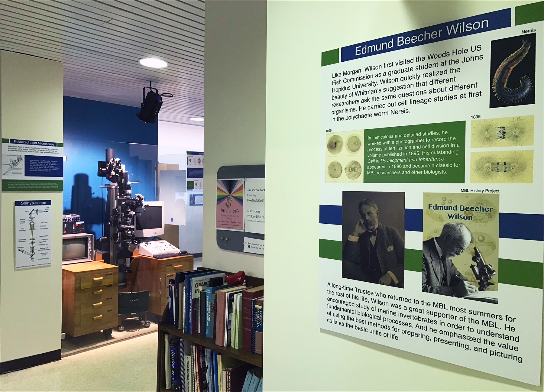 Seeing Life Exhibit | Marine Biological Laboratory