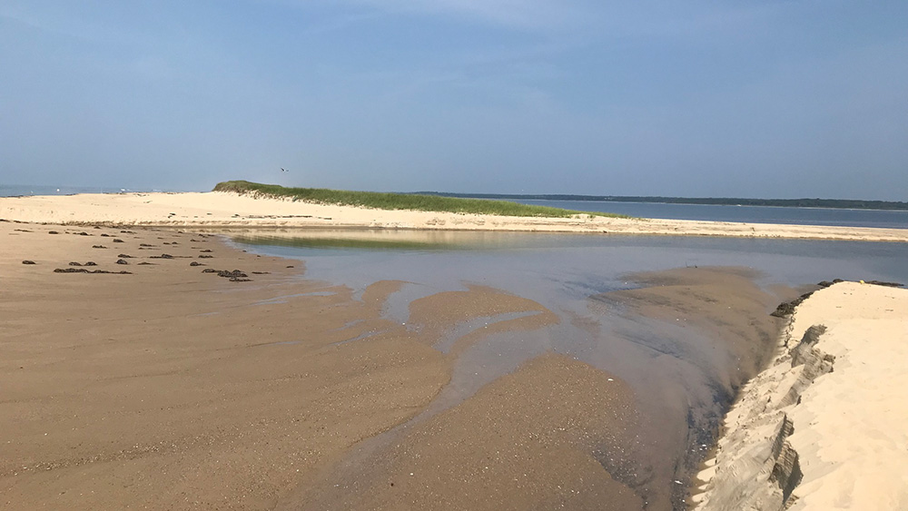 Addressing Coastal Pond Challenges on Martha’s Vineyard | Marine ...