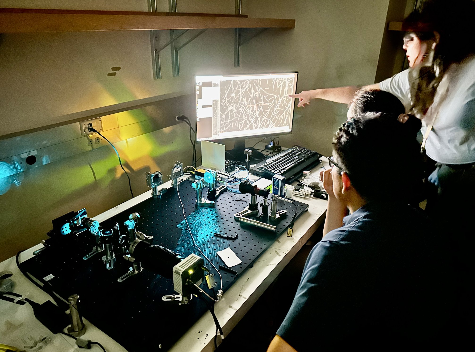 For MBL Course Directors, It’s a Labor of Love | Marine Biological ...