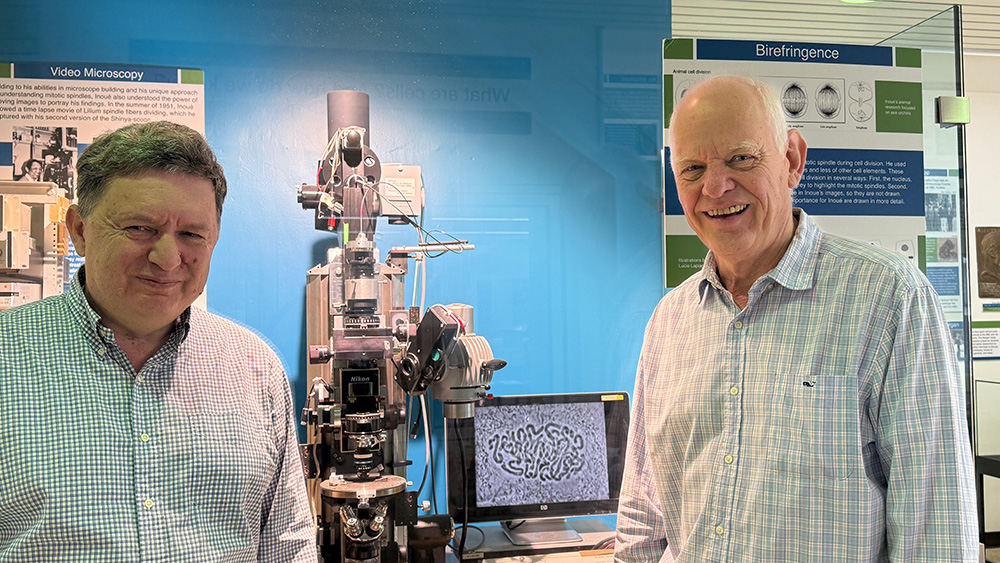 A Fresh Spin on Nuclear Centering | Marine Biological Laboratory