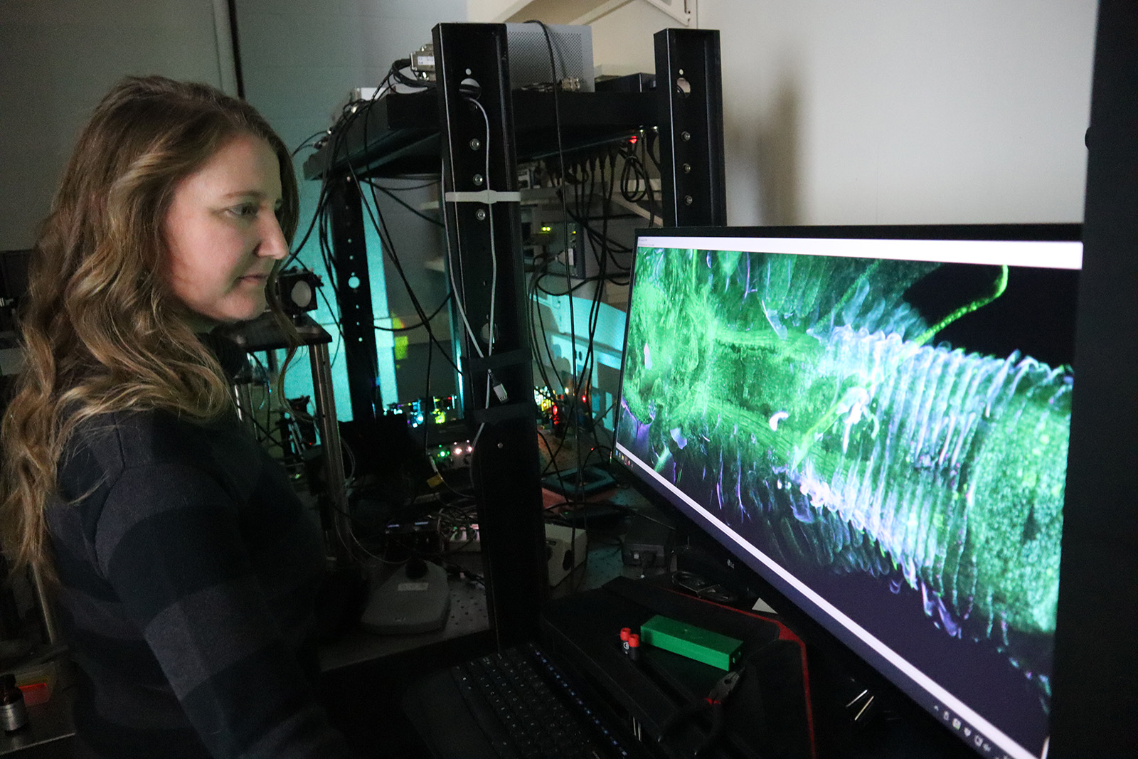 Groundbreaking Research at the MBL | Marine Biological Laboratory