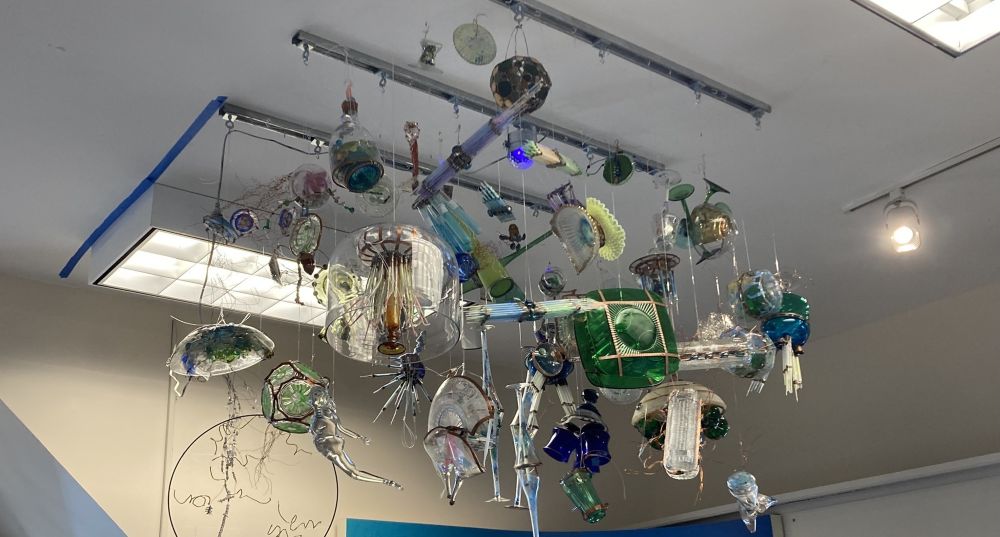 MBL Plankton Art Exhibit Makes Science More Relatable | The Enterprise ...