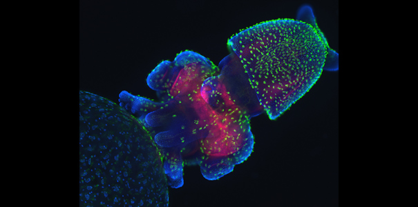 Governor Baker Signs Life Sciences Bond Bill with Earmark Funding for ...