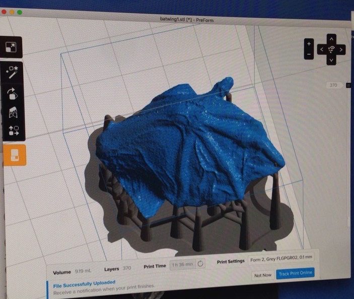 Embryology tries out new tools for probing biodiversity | Marine ...