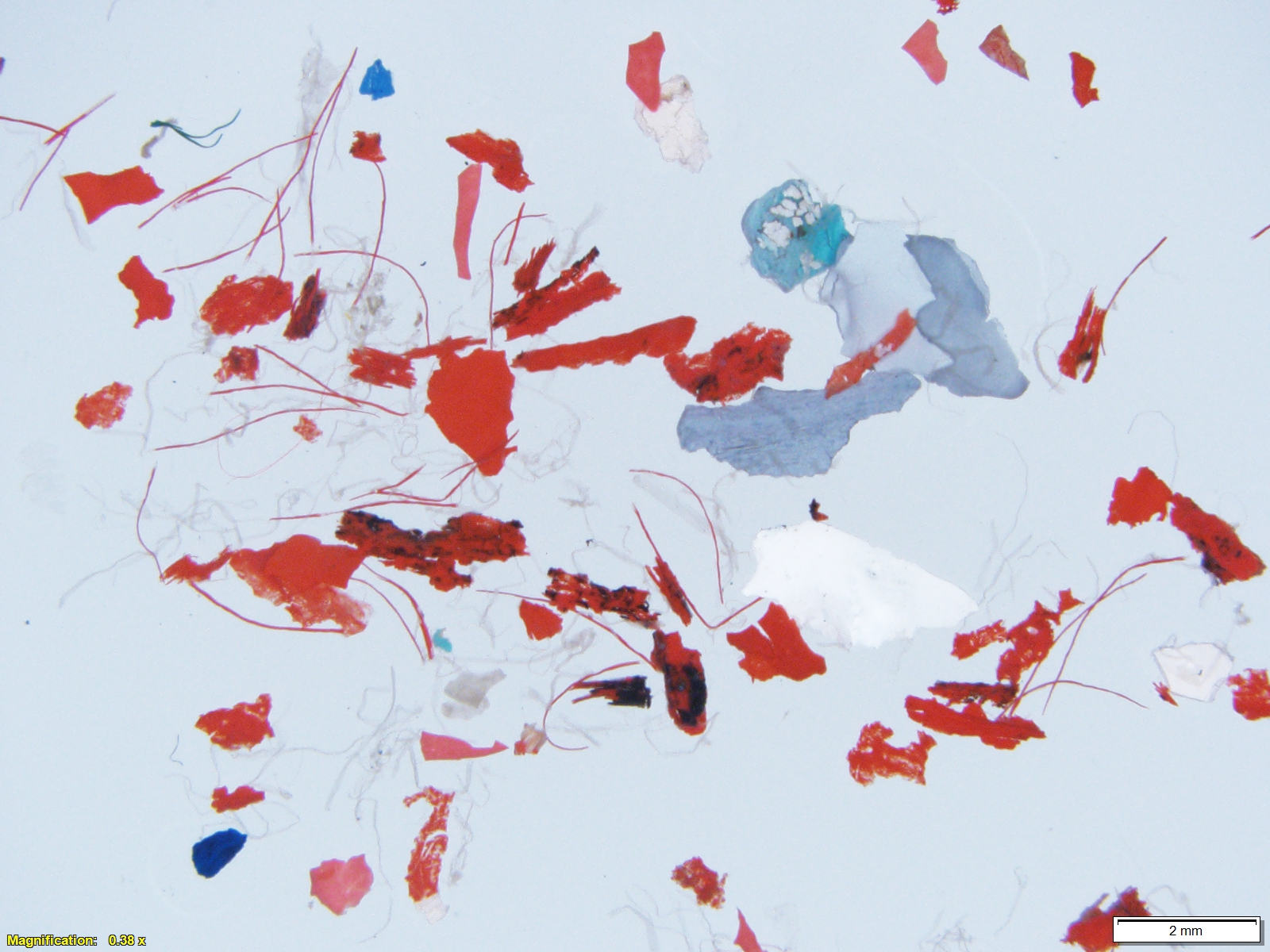 Salt Marshes Trap Microplastics in their Sediments, Creating Record of ...