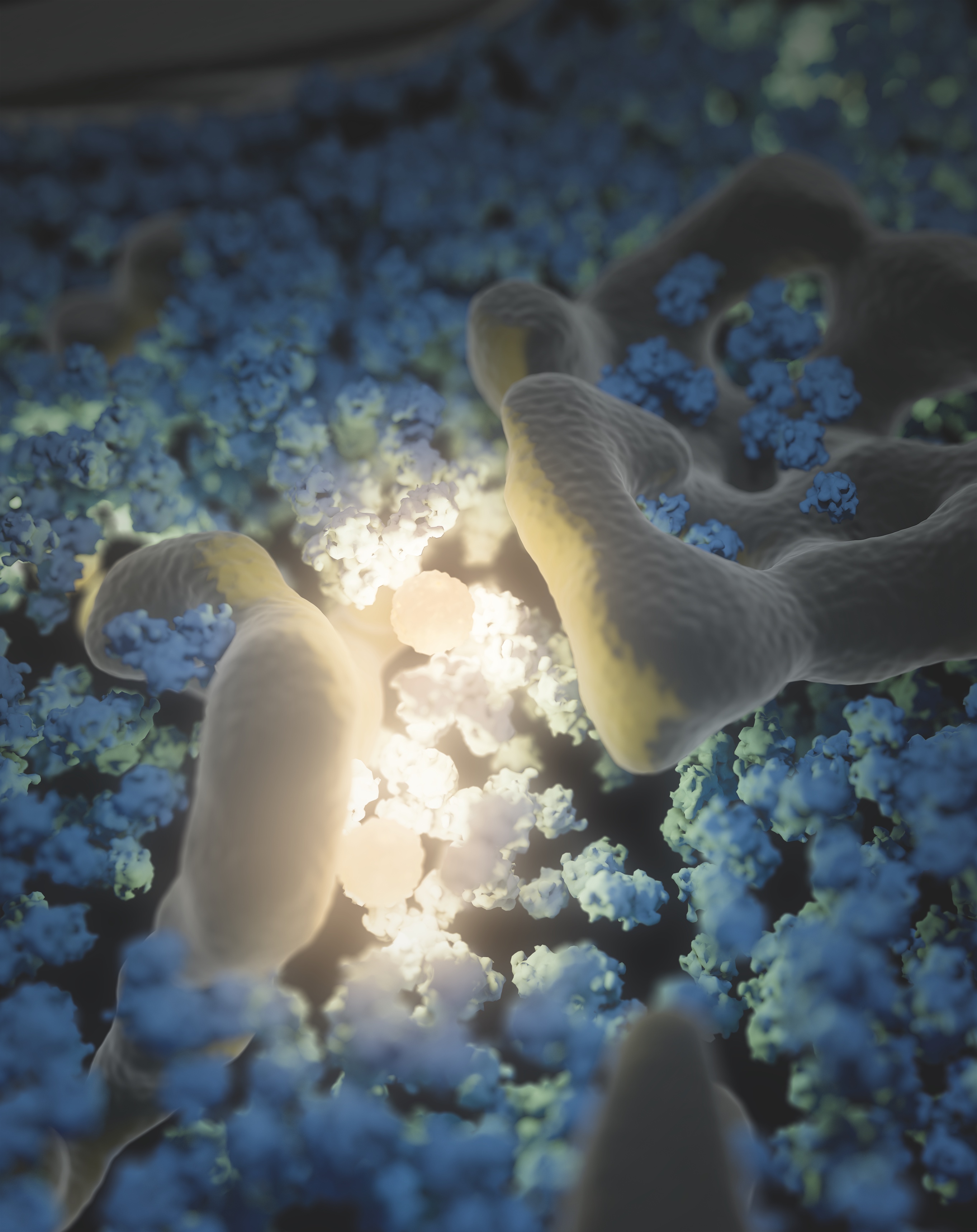 The Fantastic Voyage Within the Cell: Liam Holt's Research on ...