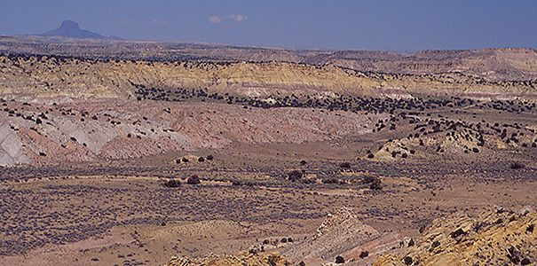 Desert Algae Shed Light on Desiccation Tolerance in Green Plants ...