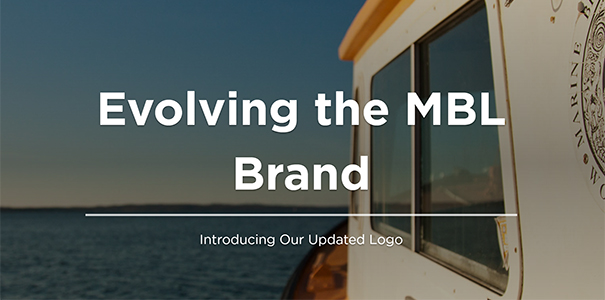 A New Visual Identity for the MBL | Marine Biological Laboratory