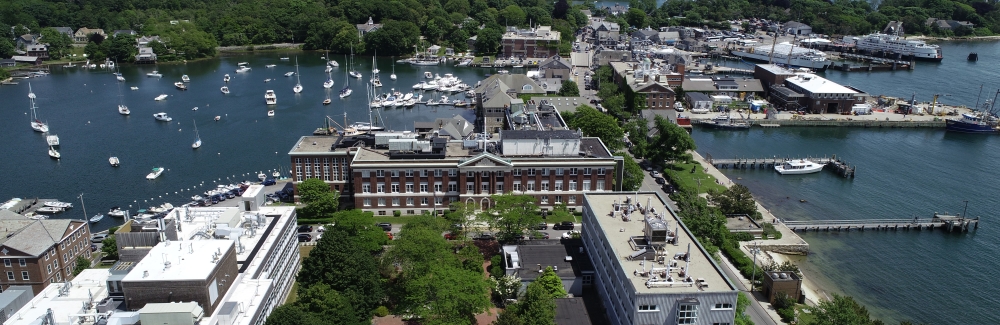 Science at the Marine Biological Laboratory in Woods Hole | CAI ...