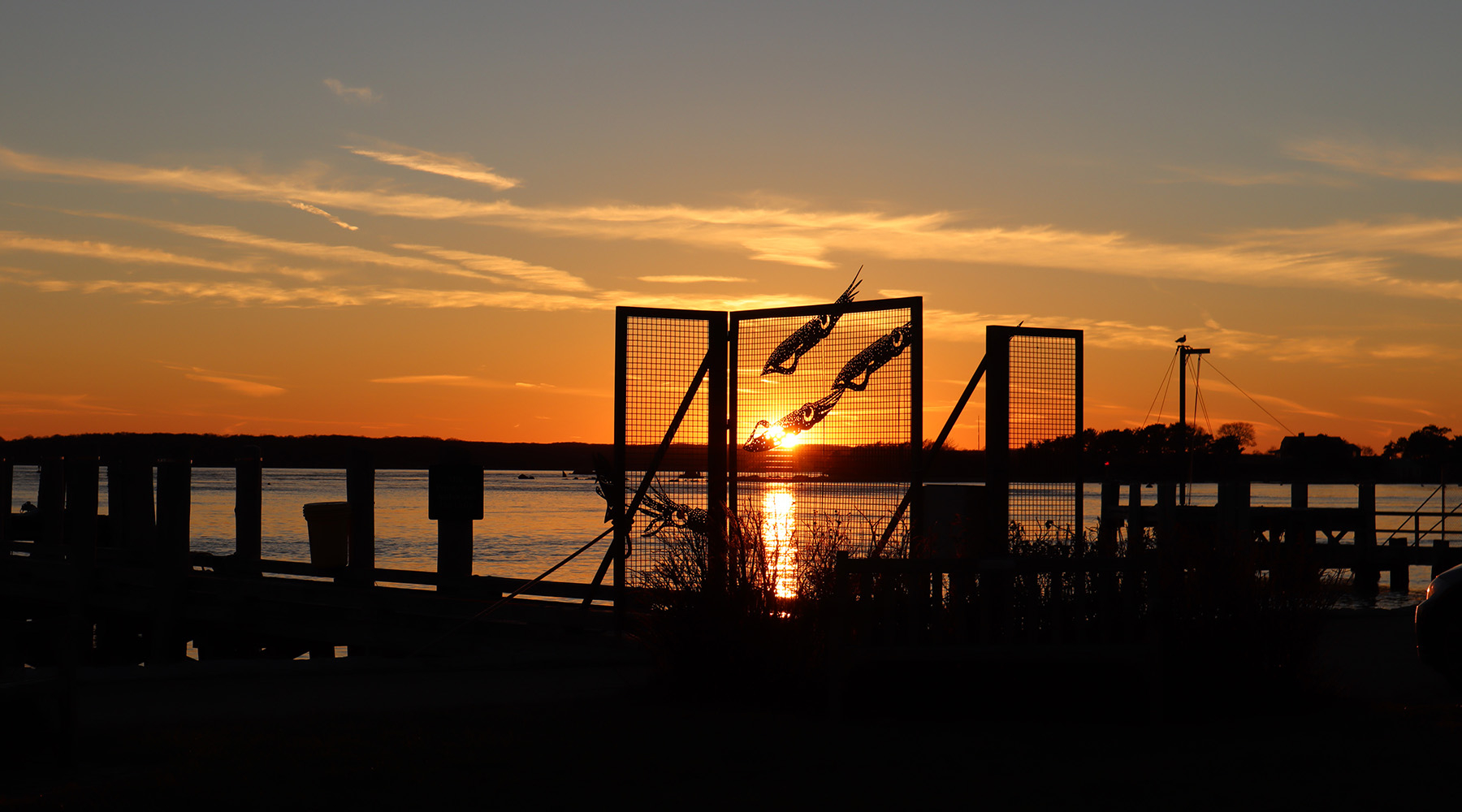 Marine Biological Laboratory | Biological Discovery in Woods Hole