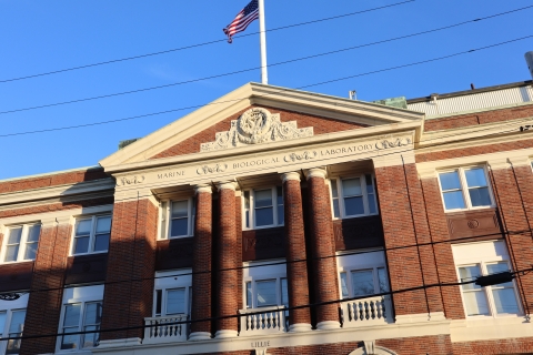 Groundbreaking Research at the MBL | Marine Biological Laboratory